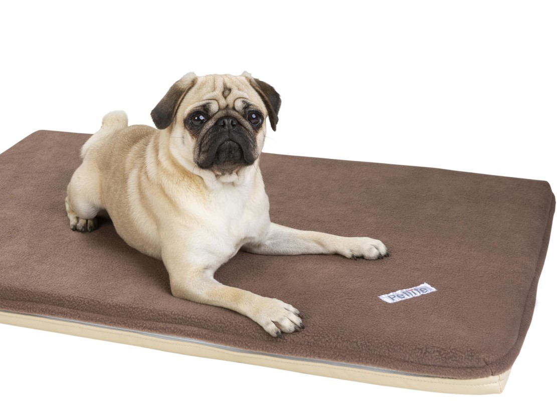 Vetbed® Gold - Dog and cat bedding - Petlife